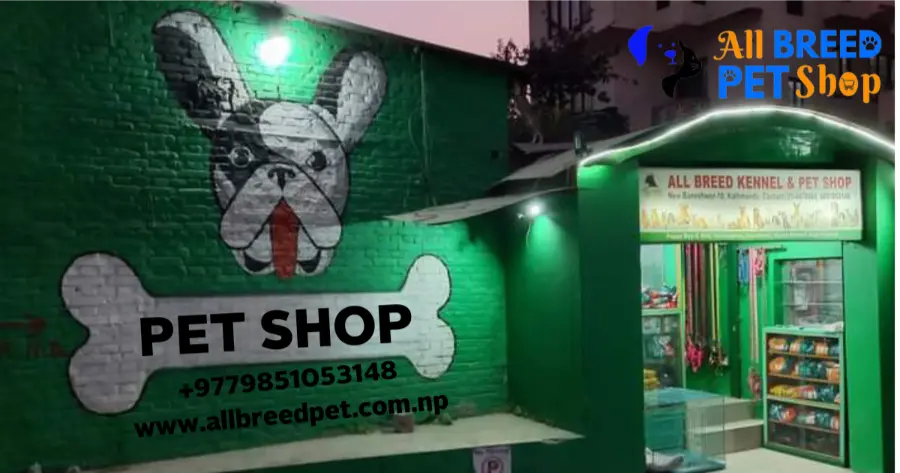 Puppy Food Archives - All Breed Pet Shop